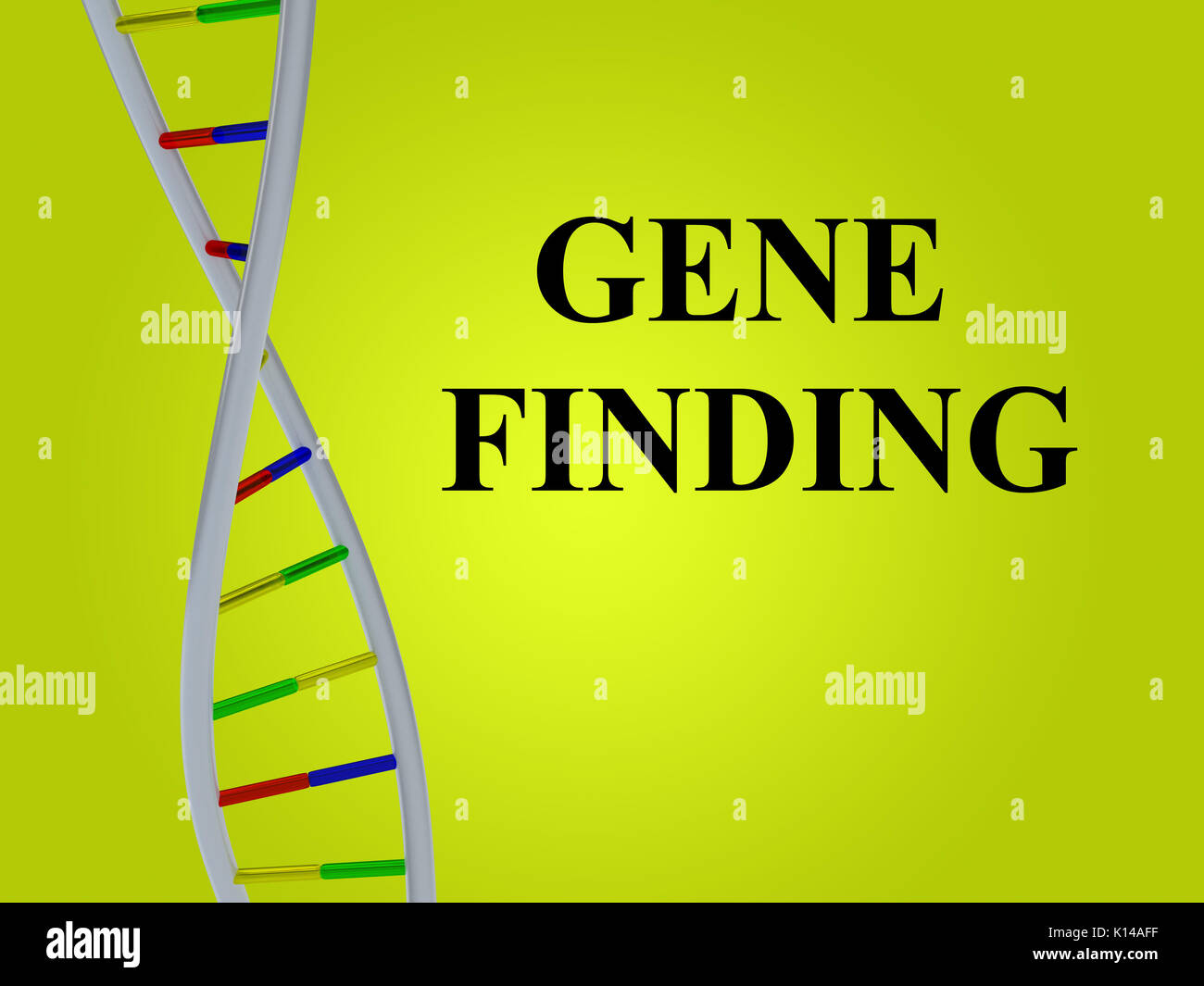 3D illustration of "GENE FINDING" script with DNA double helix ...