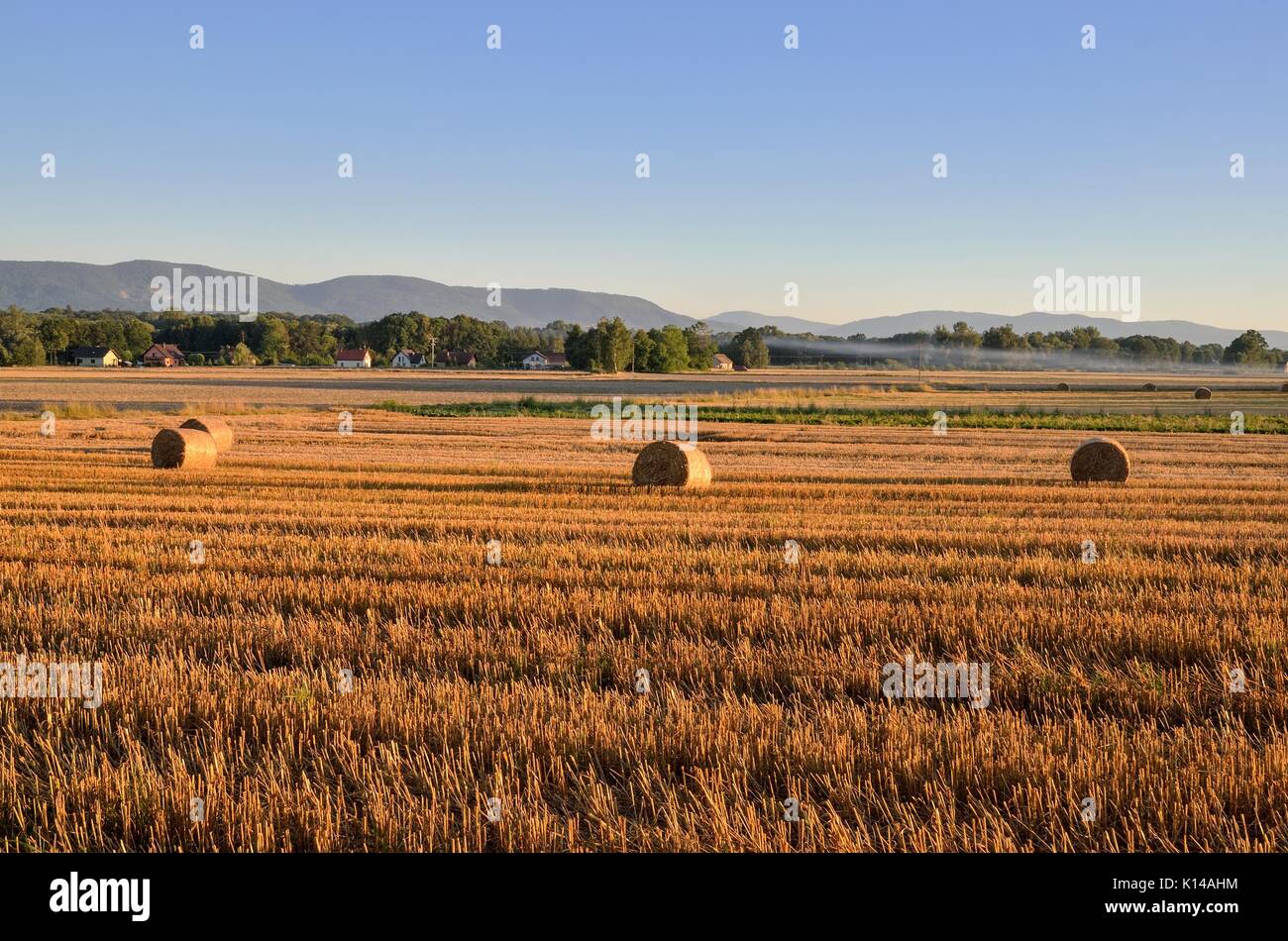 Building a haystack hi-res stock photography and images - Alamy