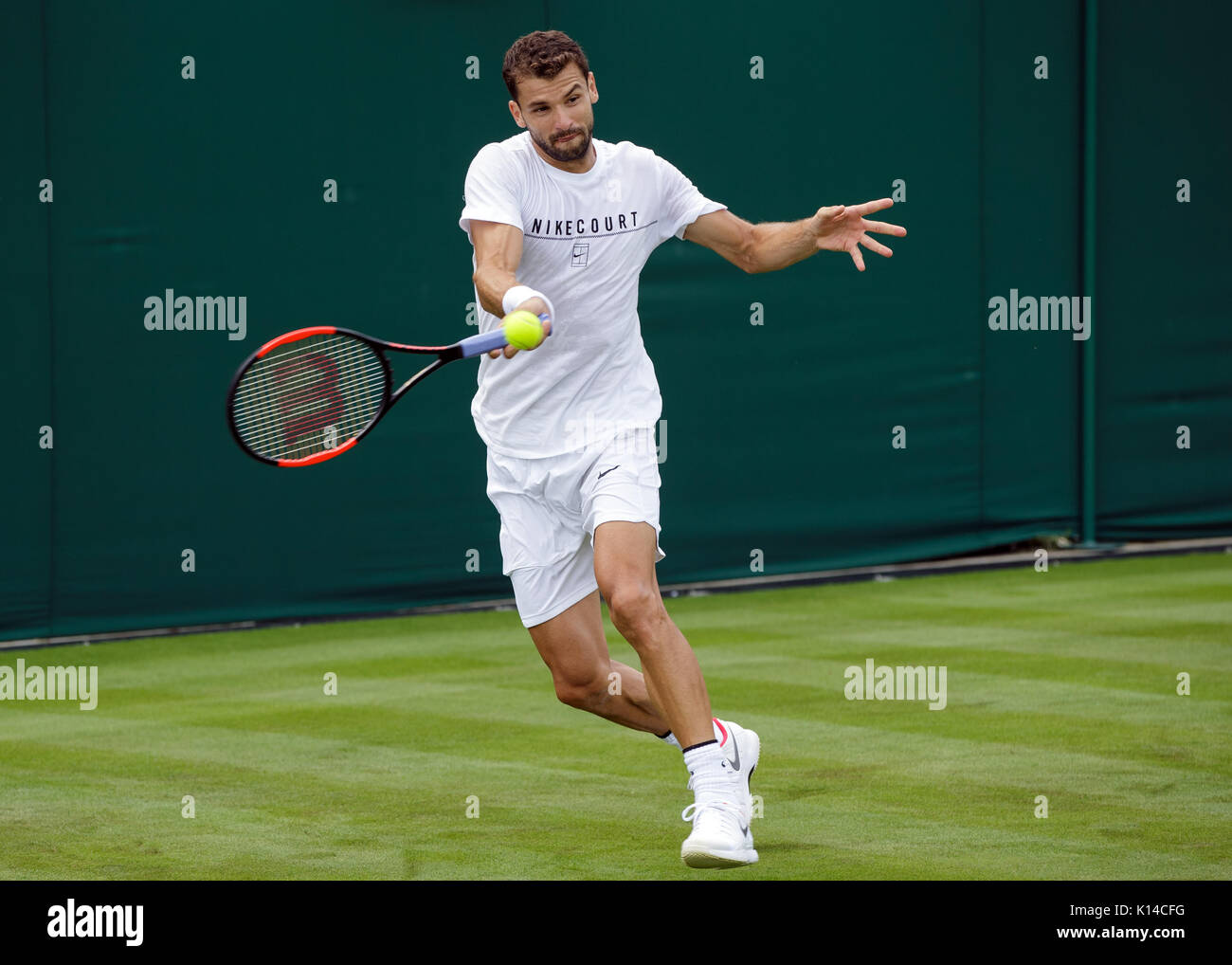 Tennis player grigor dimitrov during hi-res stock photography and ...