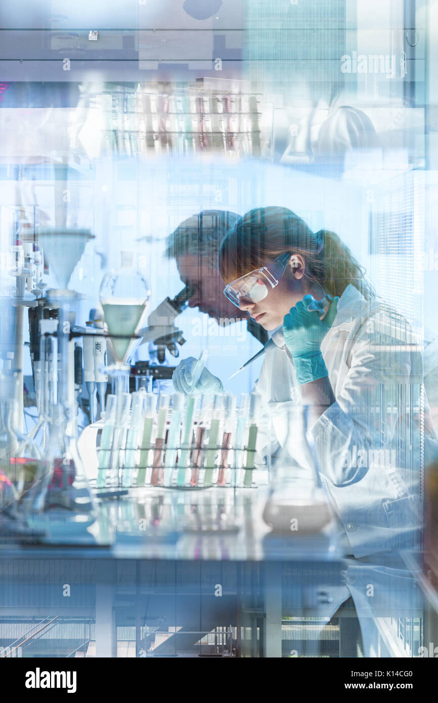 Health care researchers working in scientific laboratory Stock Photo ...