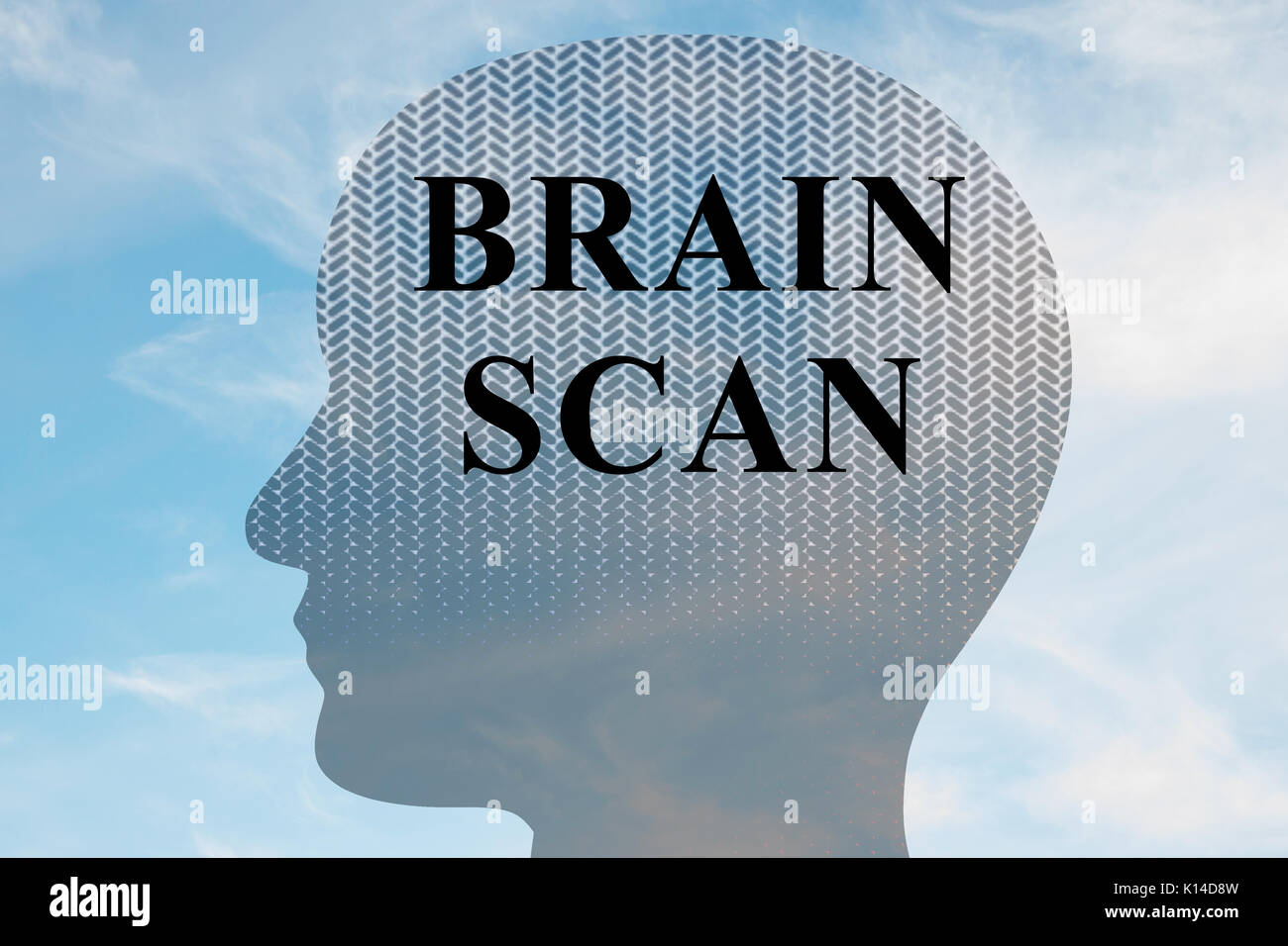 Render illustration of "BRAIN SCAN" title on head silhouette, with ...