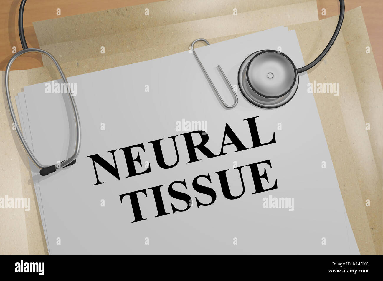 Neural tissue hi-res stock photography and images - Alamy