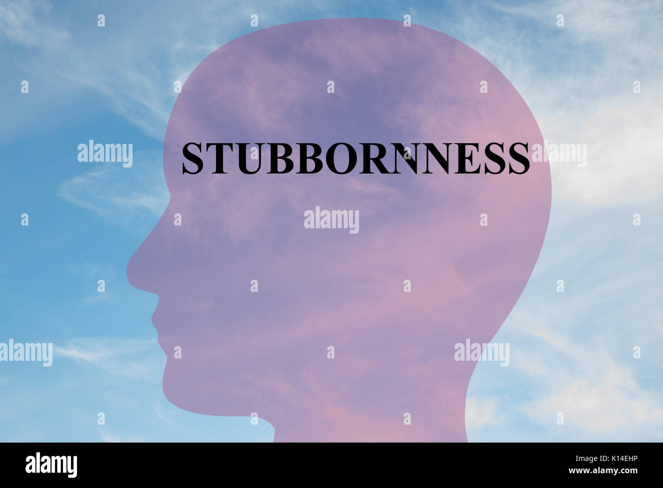Render illustration of "STUBBORNNESS" title on head silhouette, with ...