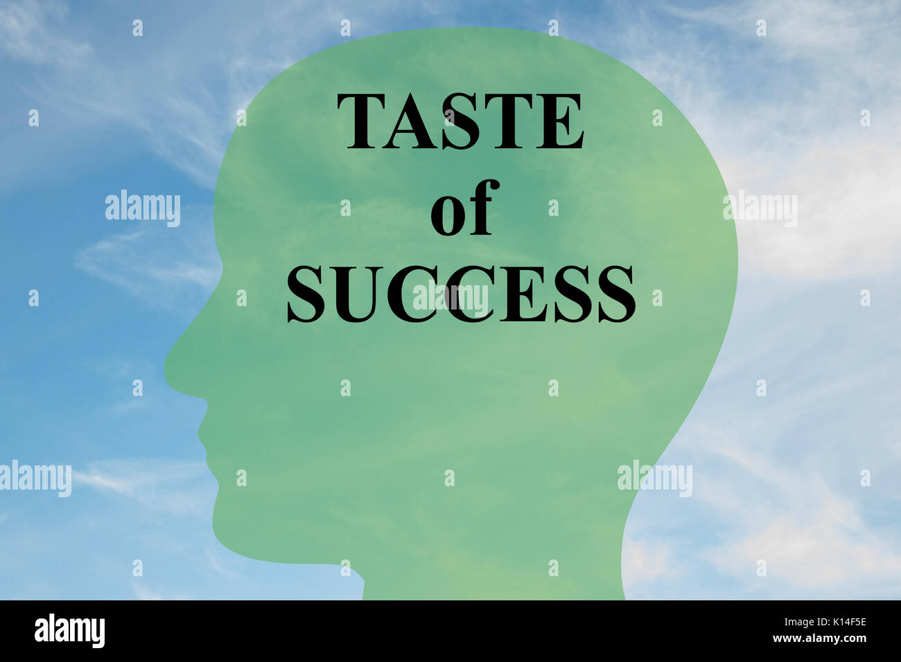 Render illustration of "TASTE of SUCCESS" script on head silhouette ...