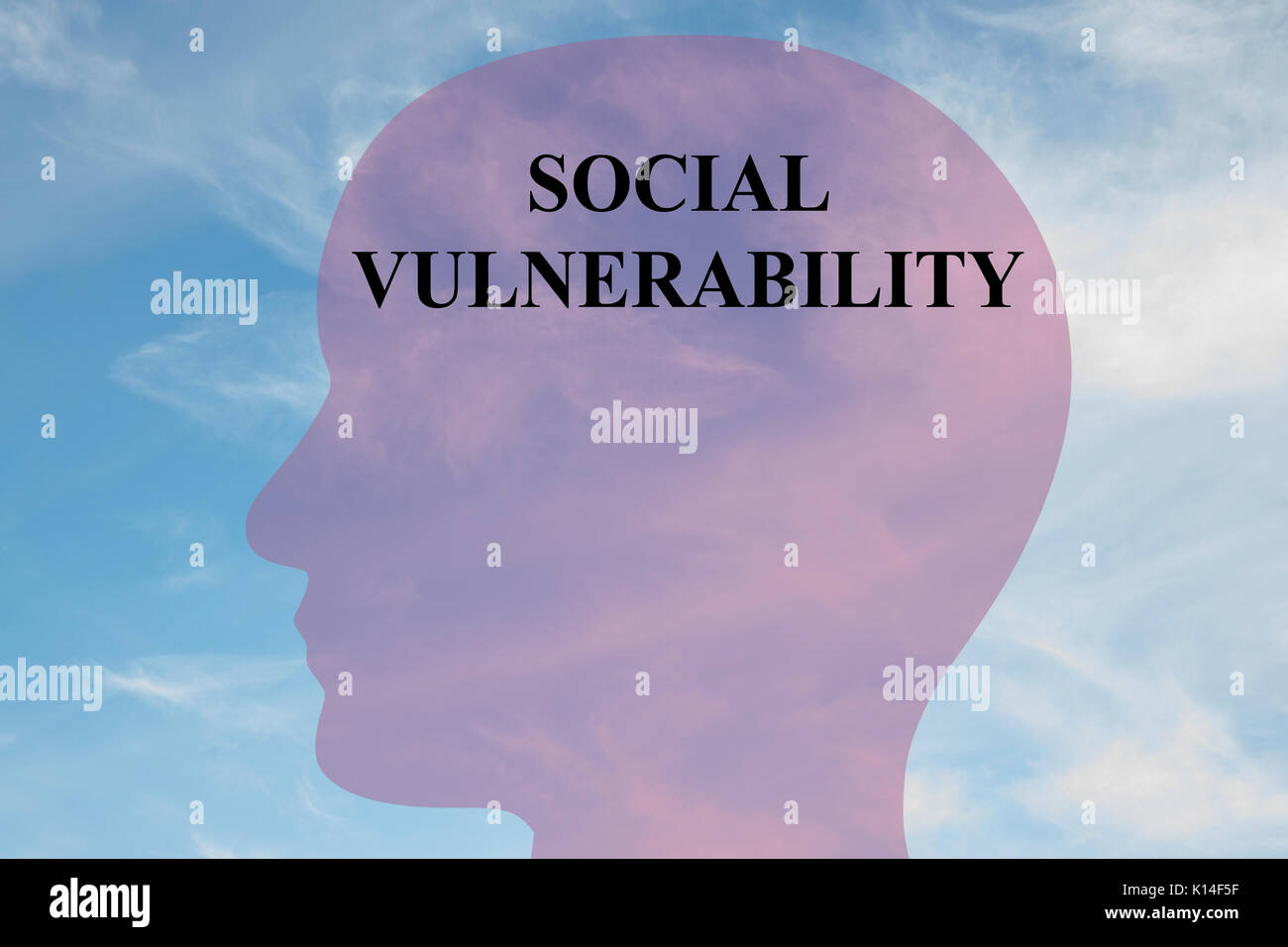 Render illustration of "SOCIAL VULNERABILITY" title on head silhouette ...