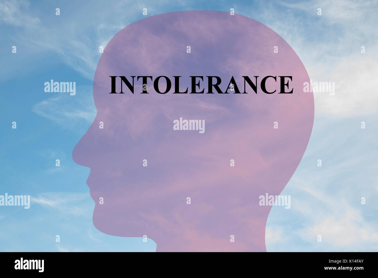 Render illustration of "INTOLERANCE" title on head silhouette, with ...