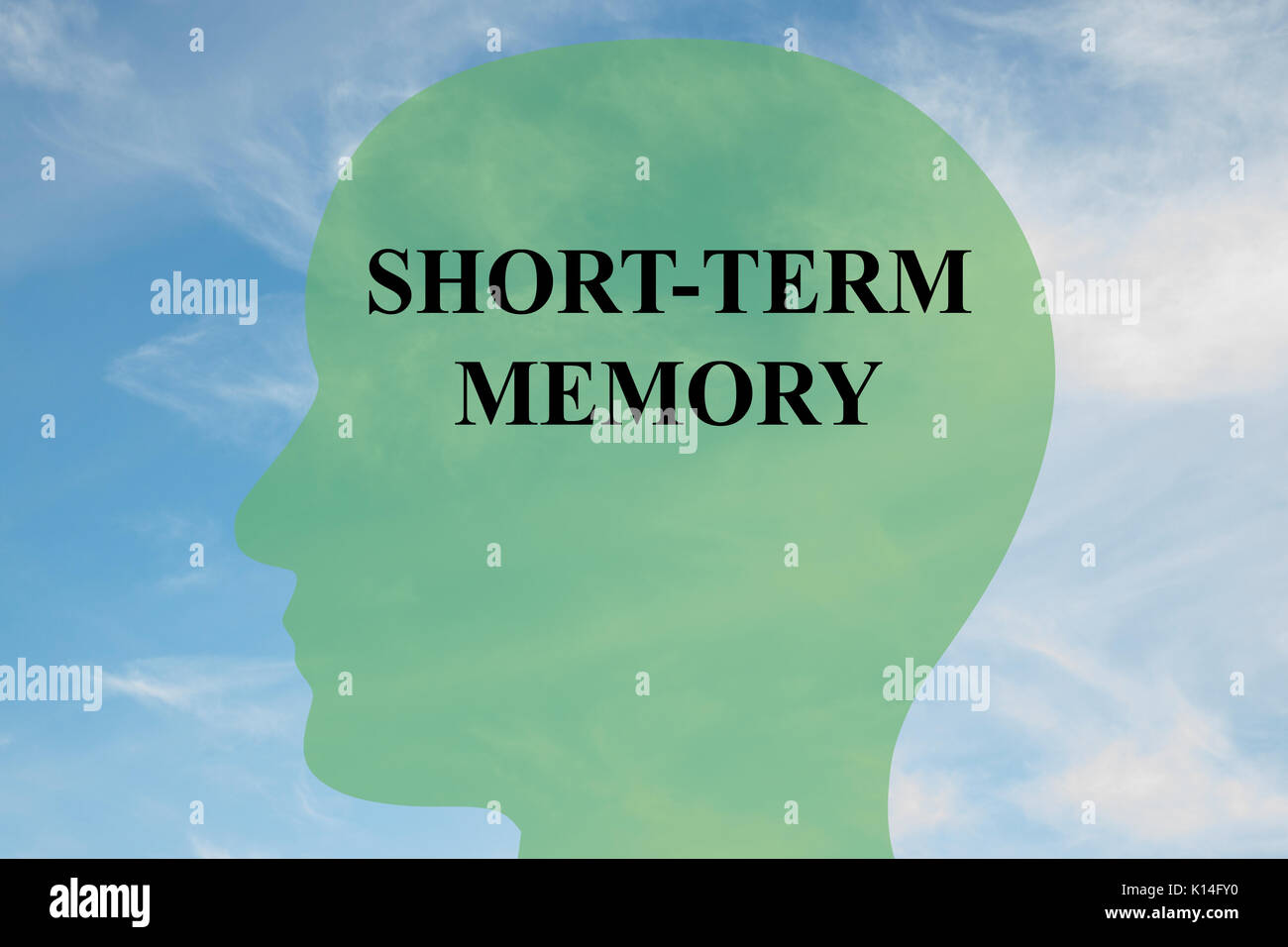 Render illustration of "SHORT-TERM MEMORY" script on head silhouette ...