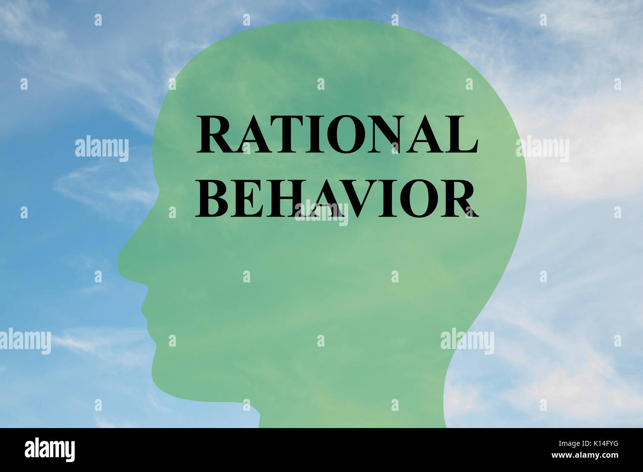 Render Illustration Of Rational Behavior Script On Head Silhouette With Cloudy Sky As A