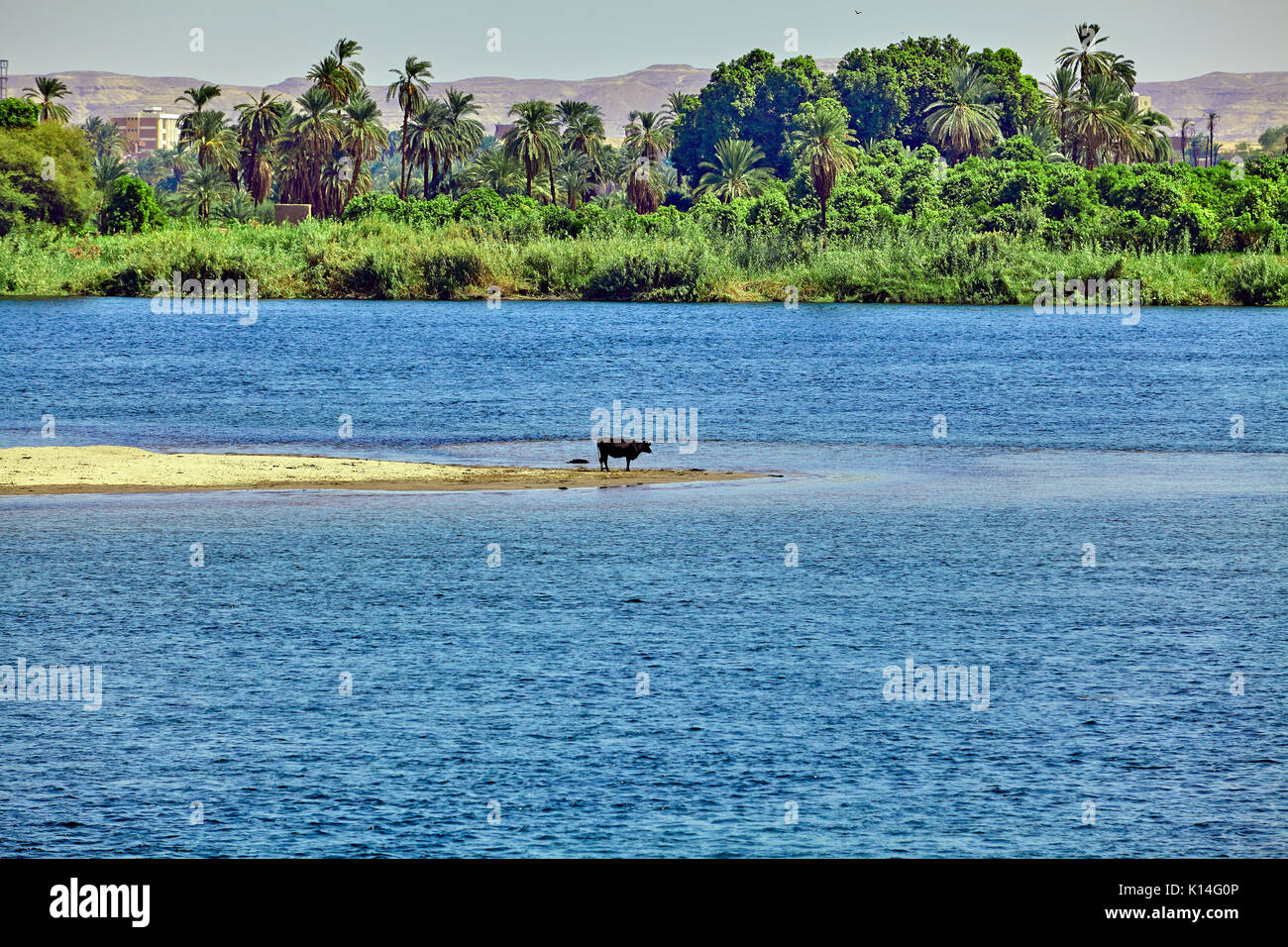 River Nile in Egypt. beautiful landscape Stock Photo - Alamy