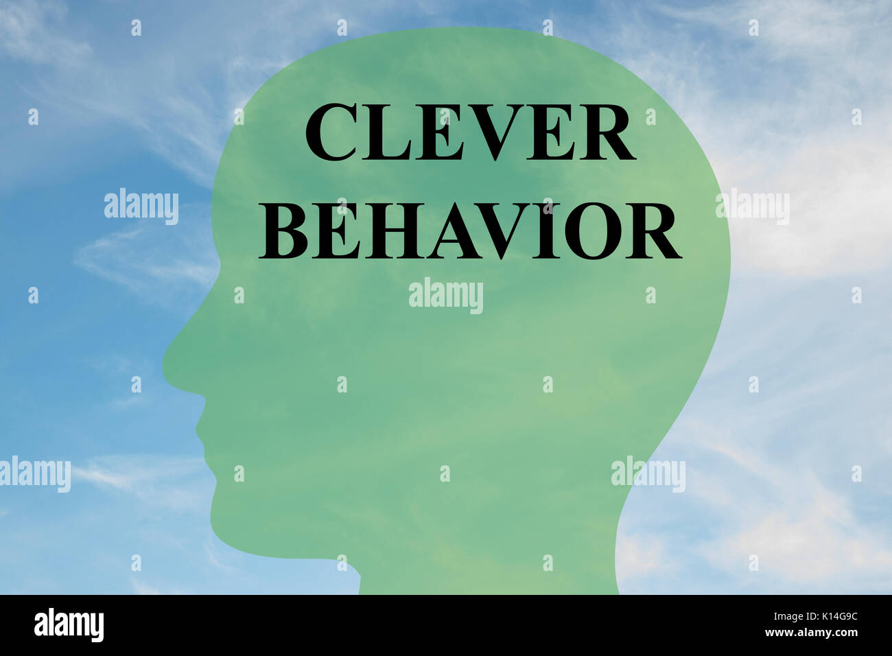 Render Illustration Of Clever Behavior Script On Head Silhouette With Cloudy Sky As A