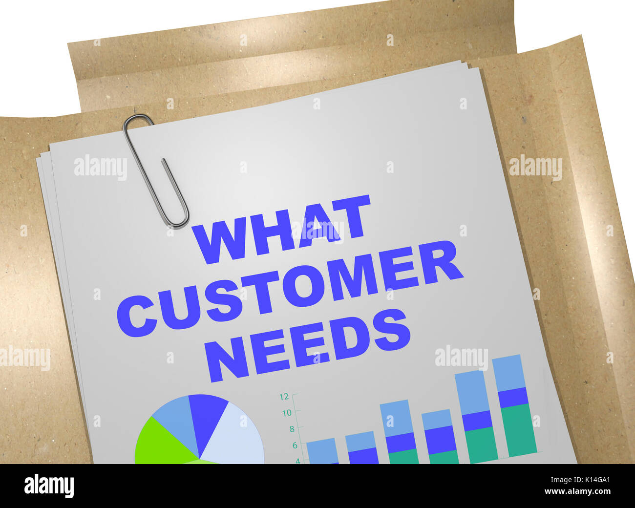 3D illustration of "WHAT CUSTOMER NEEDS" title on business document ...