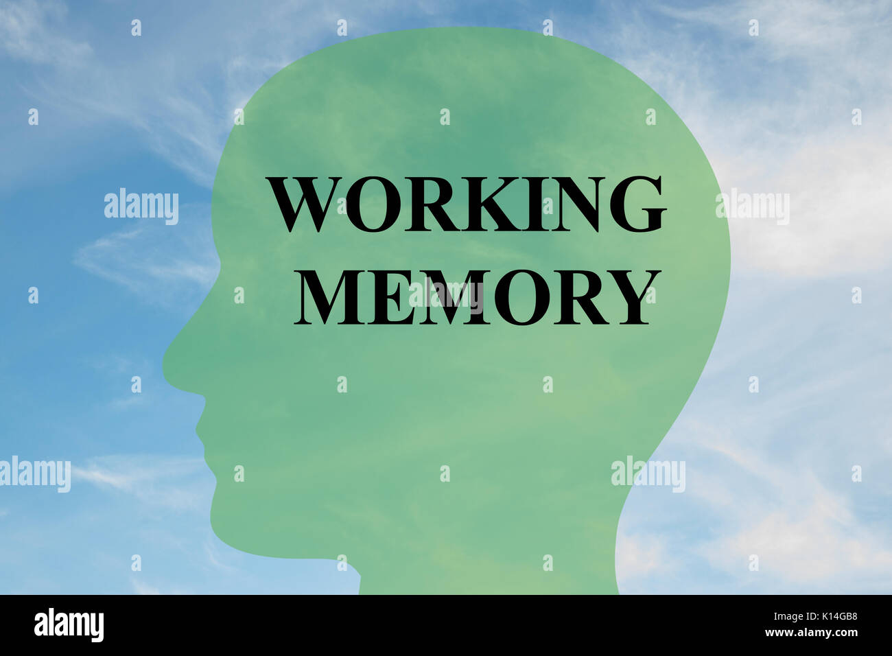 Render illustration of "WORKING MEMORY" script on head silhouette, with ...