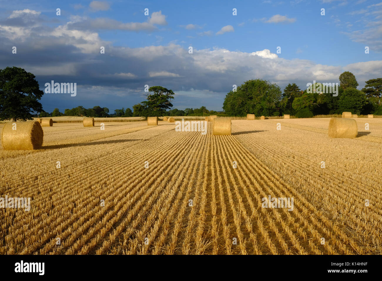 Harvest straw hi-res stock photography and images - Alamy