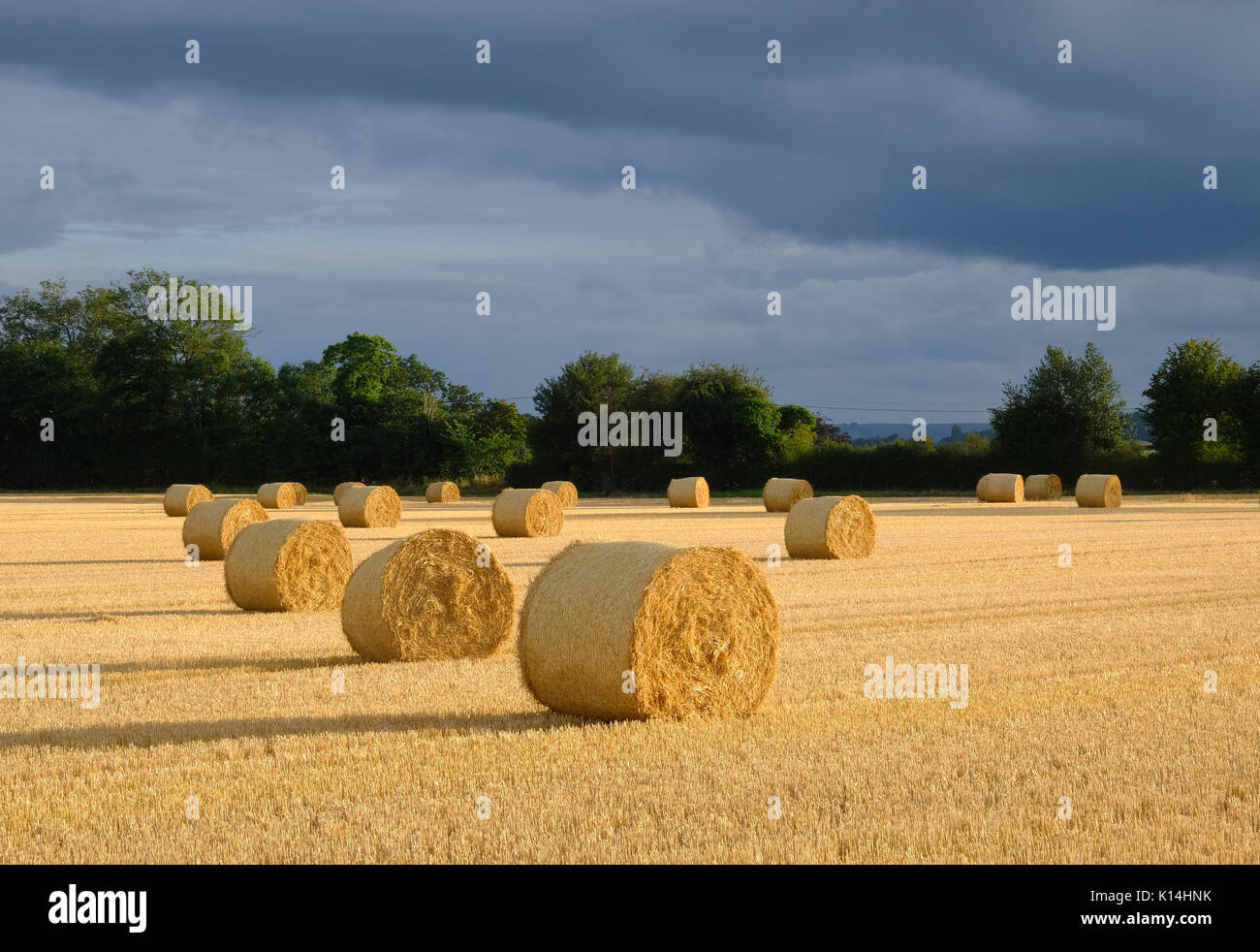 Harvest straw hi-res stock photography and images - Alamy