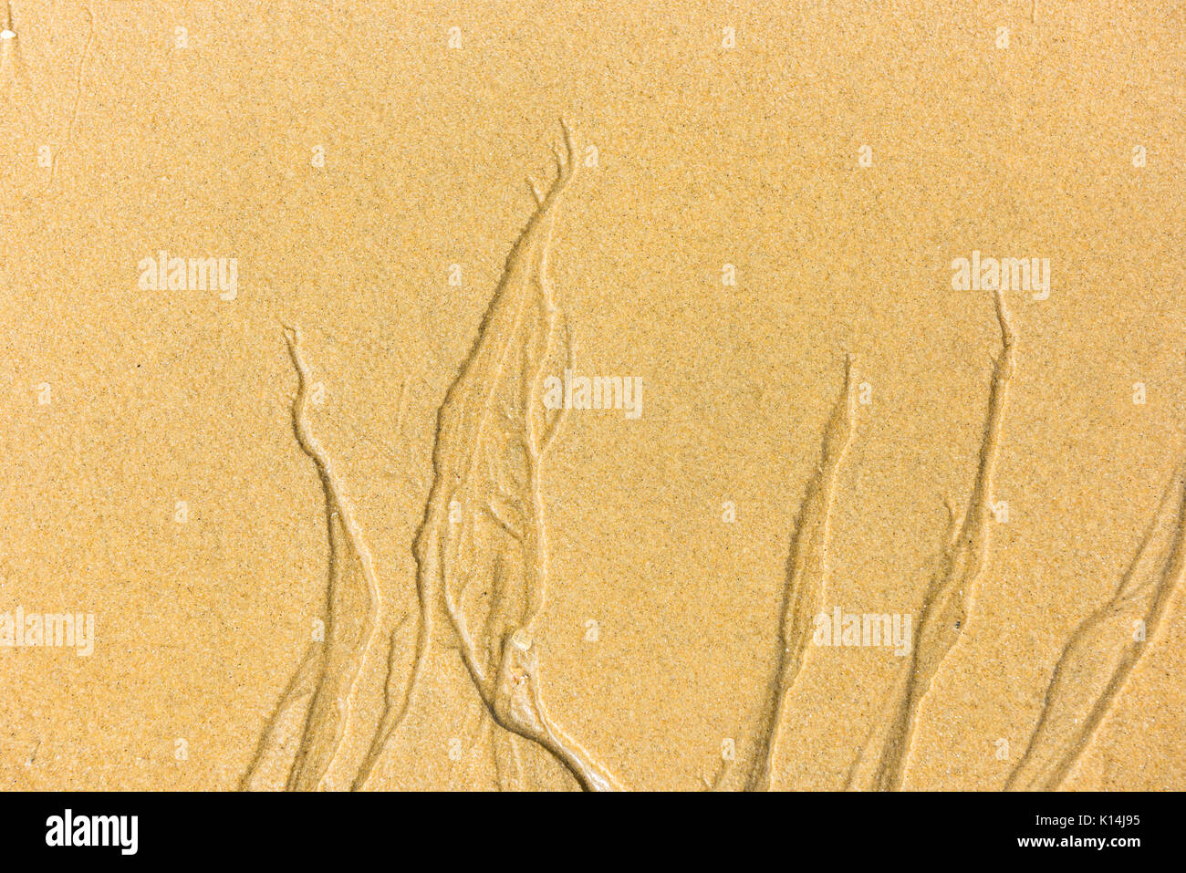 Top view of a sand sea bottom for background and texture Stock Photo ...
