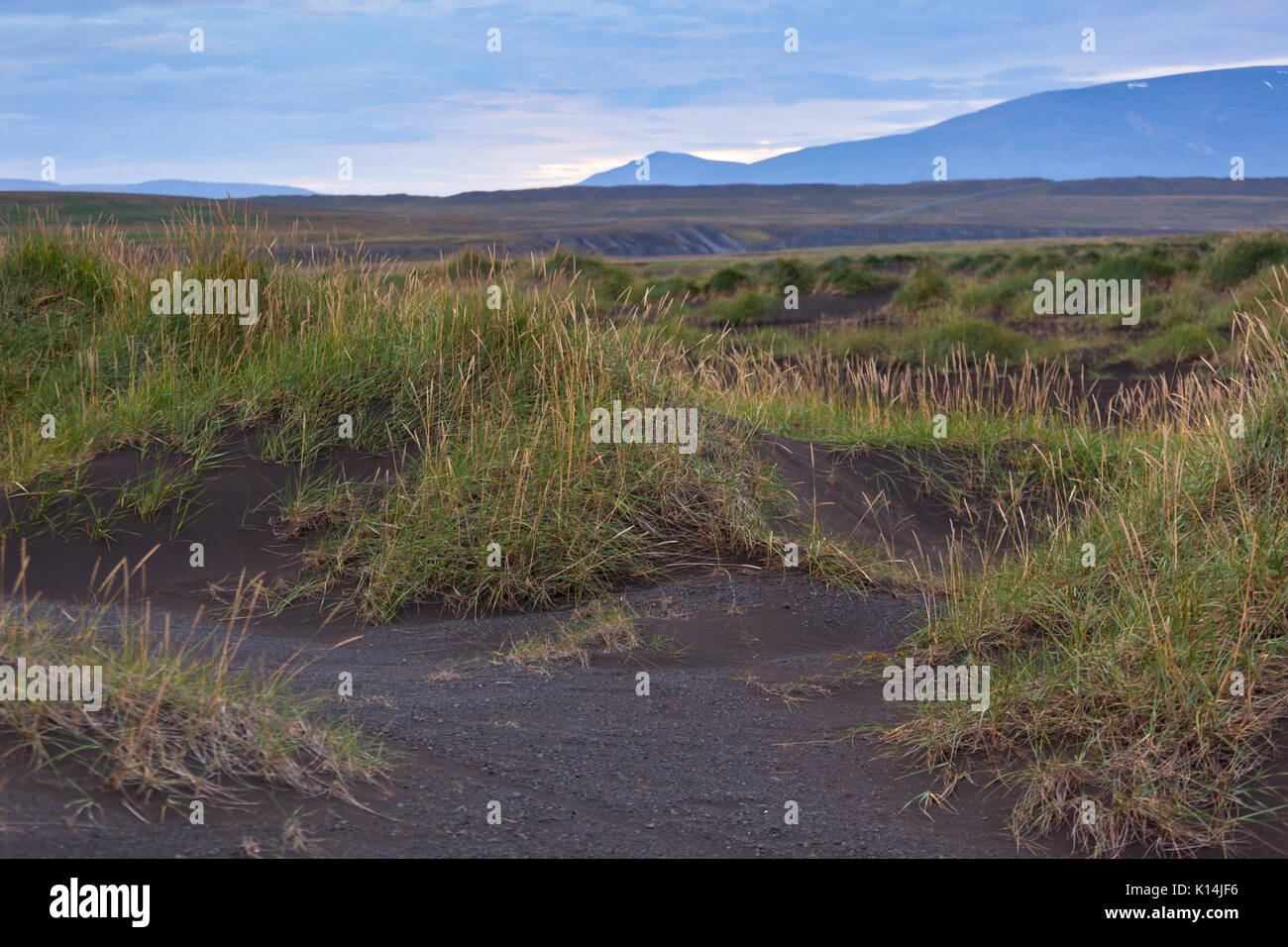 Iceland landscape: Black Volcanic Ash Dunes Field Stock Photo - Alamy