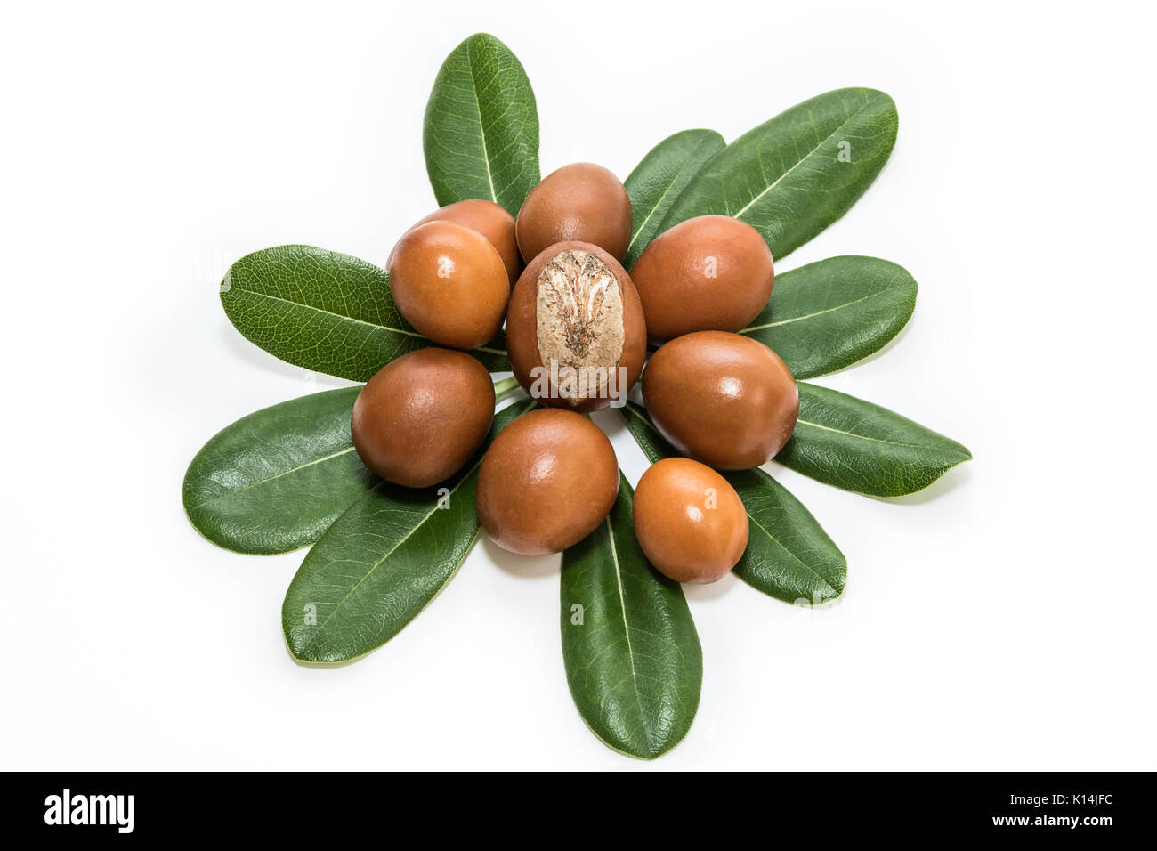 Kerita hi-res stock photography and images - Alamy