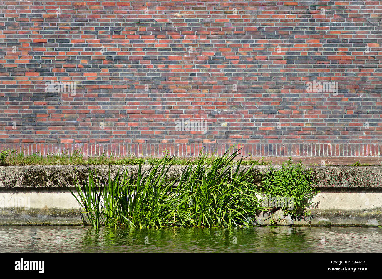 Waterfront building with sidewalk, brick wall and green reed Stock ...
