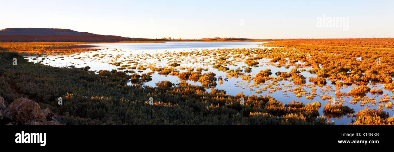 Lake Nannine, Meekathara, Murchison, Western Australia Stock Photo - Alamy