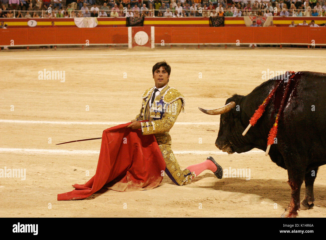 Red bull silhouette hi-res stock photography and images - Alamy