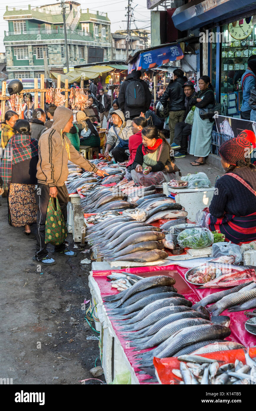 Sale fresh fish street hi-res stock photography and images - Alamy