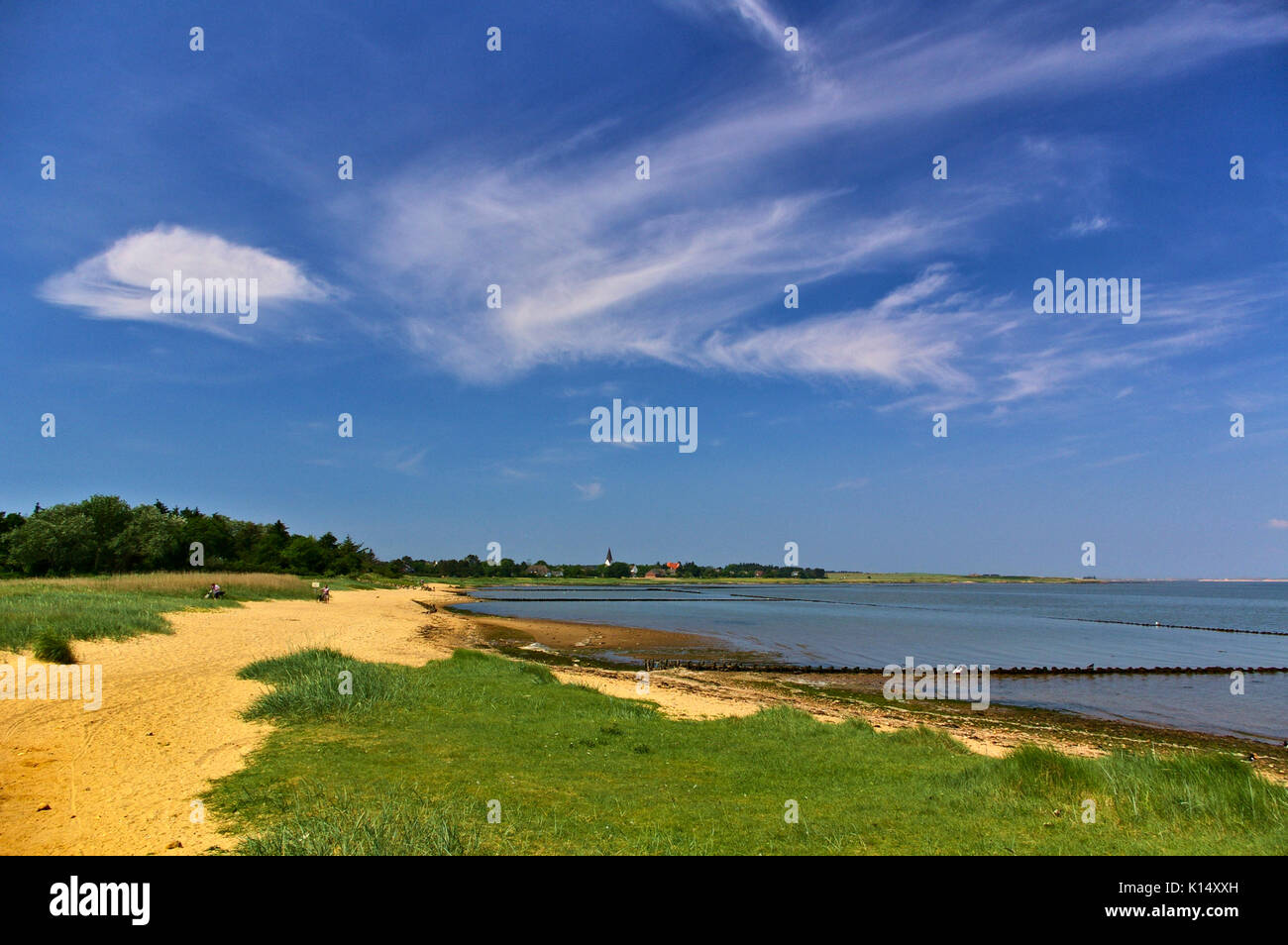 Sandy beach with grass, tidal mudflats and village with church spire ...