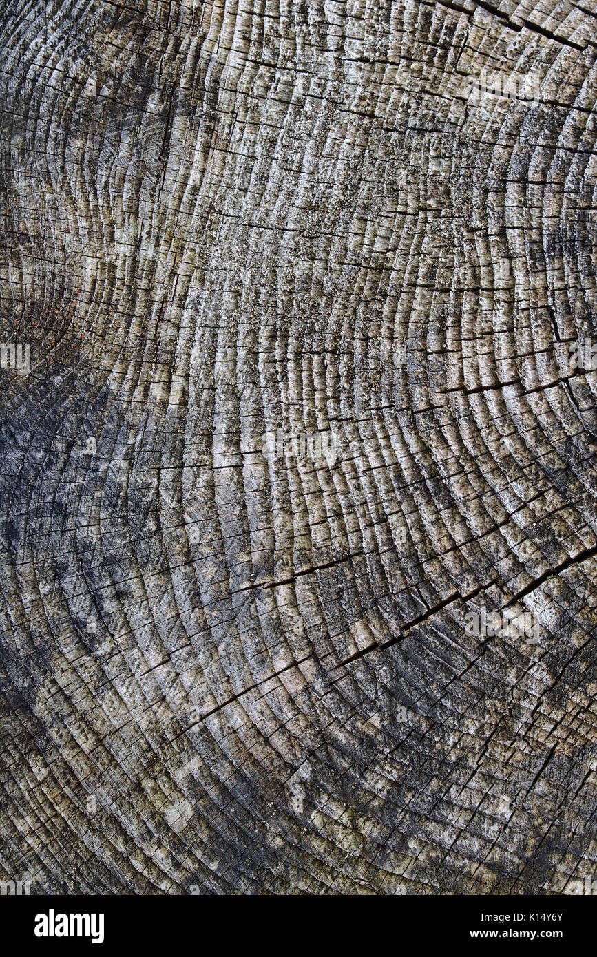 Weathered surface hi-res stock photography and images - Alamy