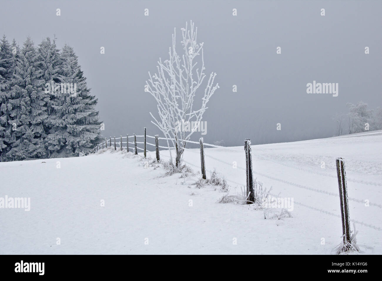 Dark grey sky with snow hi-res stock photography and images - Alamy