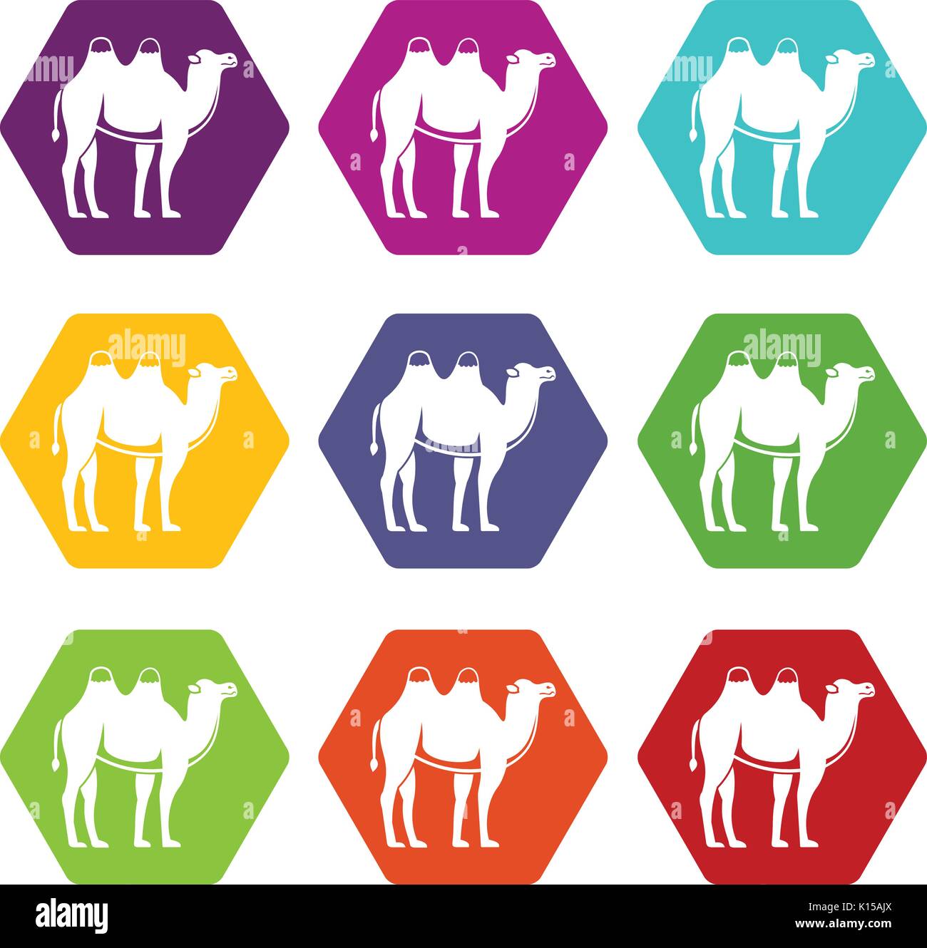 Camel Ride Dubai Stock Vector Images - Alamy