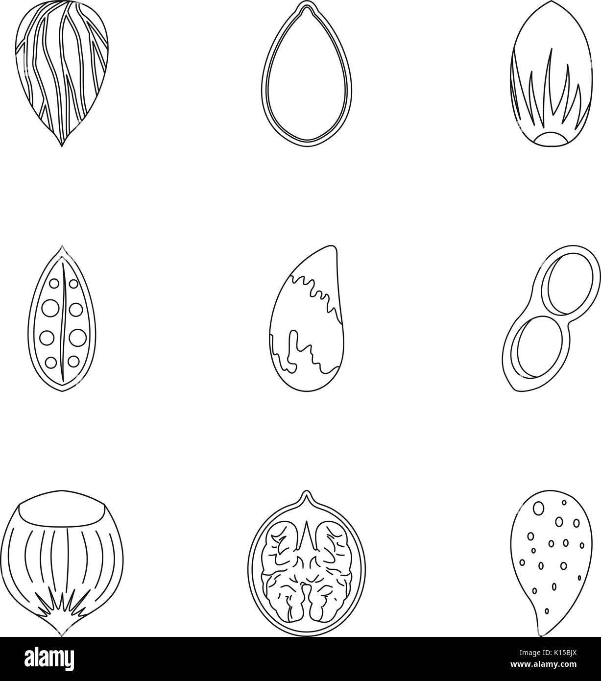 Organic nuts icon set, outline style Stock Vector Image & Art - Alamy