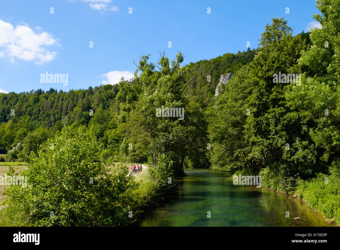 River Pegnitz near Vorra, Pegnitz Valley, Hersbrucker Alb, Middle ...