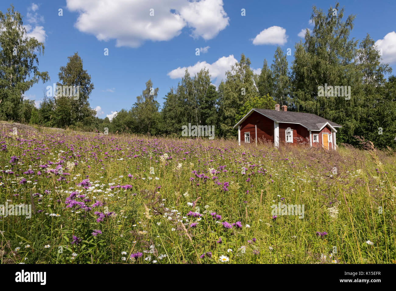 House on flower meadow, Linnansaari, Finland Stock Photo - Alamy