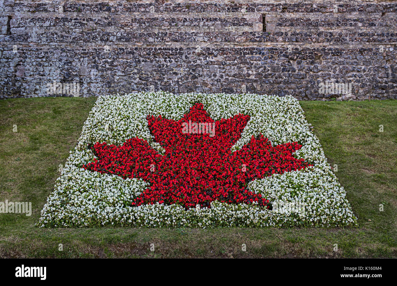 Canadian Flag Made From Flowers In Dieppe, France Stock Photo - Alamy
