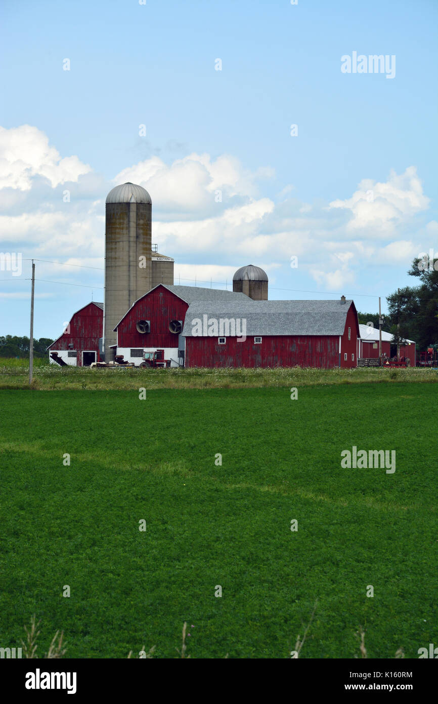 Cows and red barn hi-res stock photography and images - Alamy