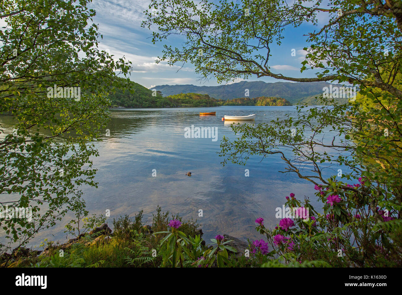 Stunning landscape with Loch Morar hemmed with rugged mountains and ...