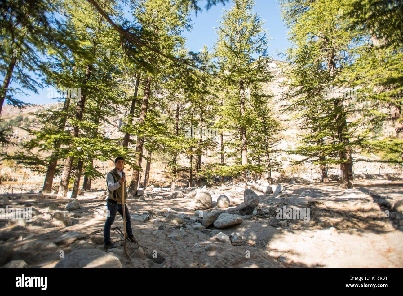 Sangla valley in Kinnaur in Himachal Pradesh of India os a beautiful ...