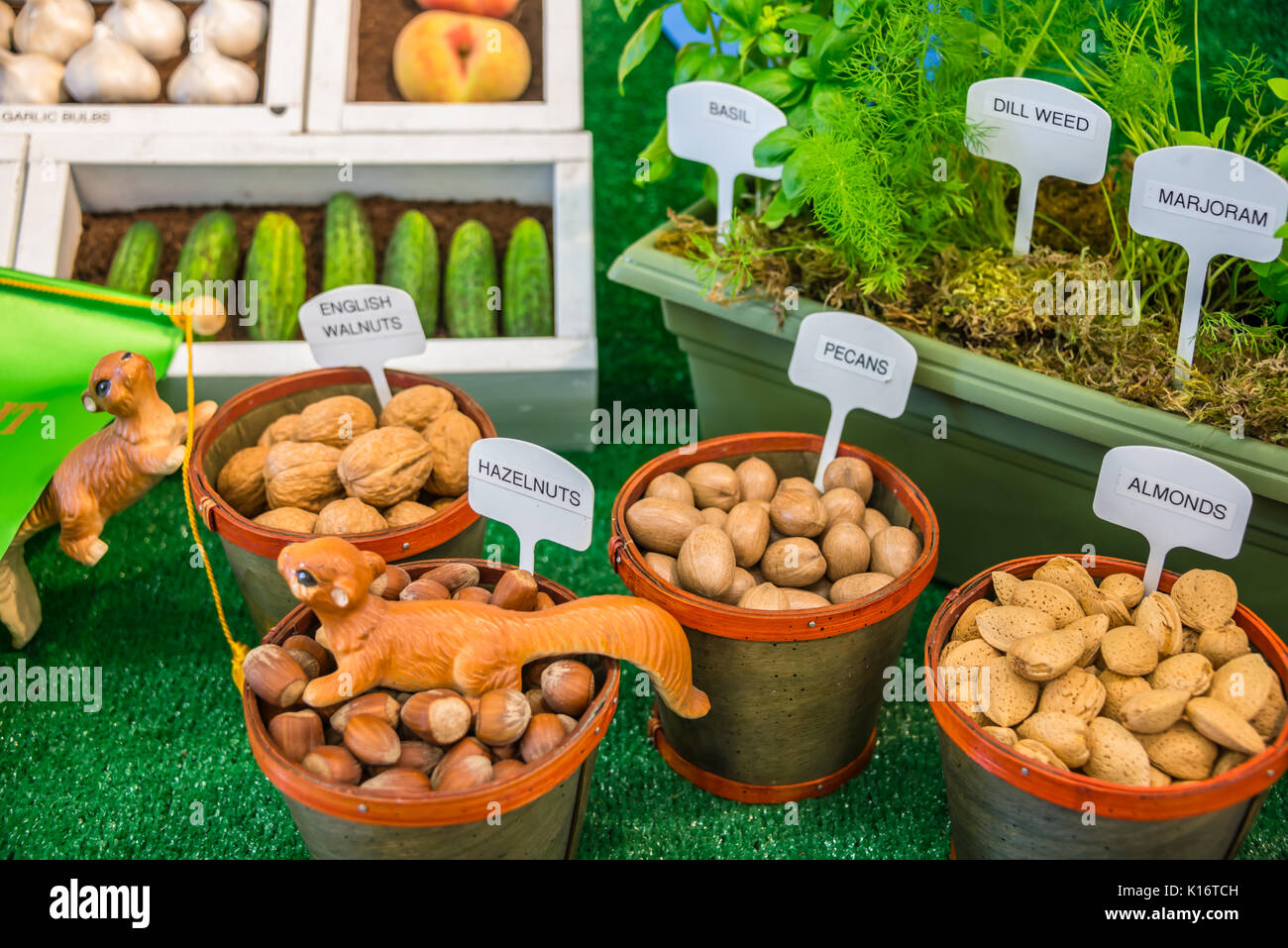Labeled Display Variety of Nuts and Potted Herbs Stock Photo - Alamy