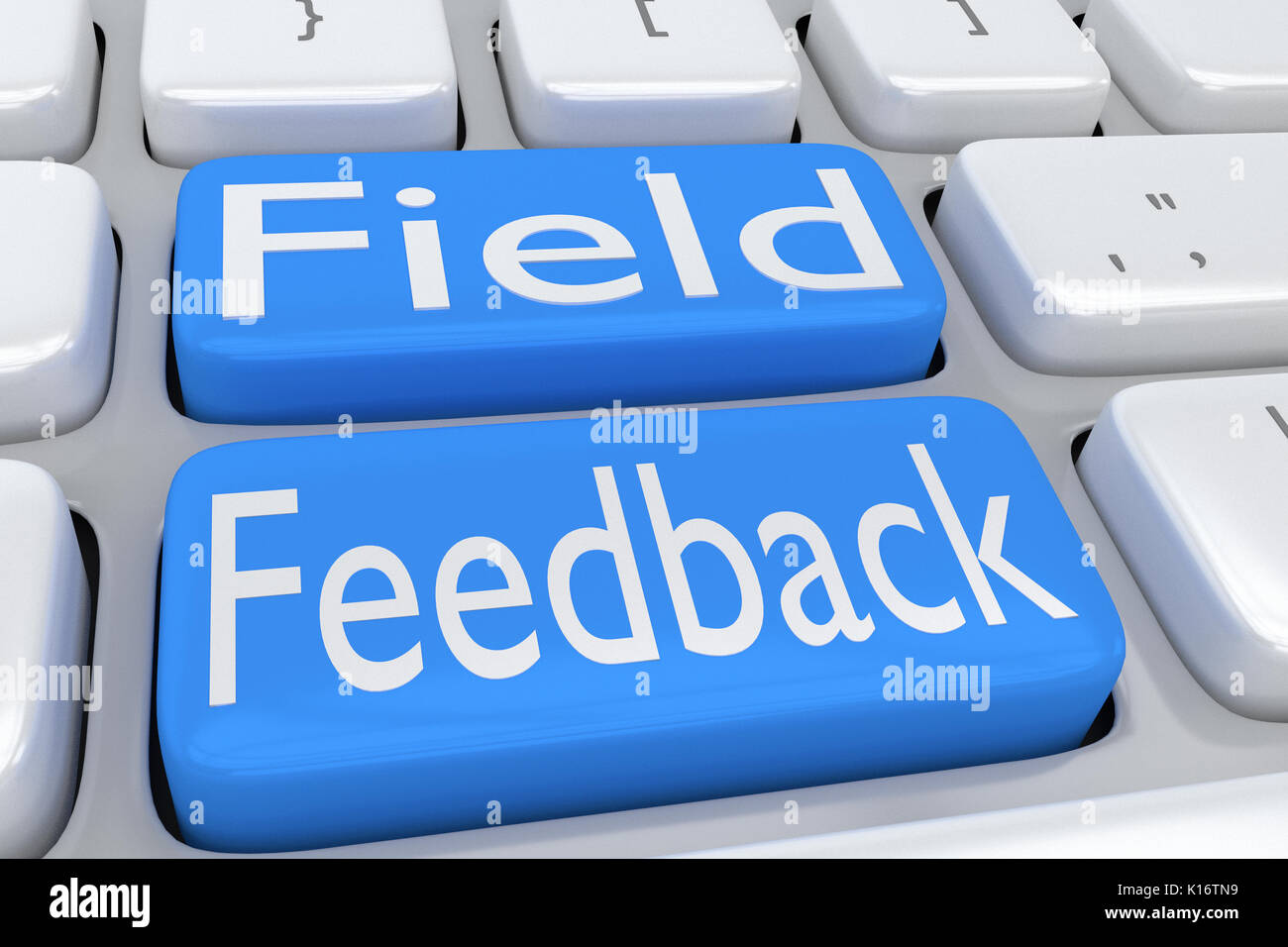 3D illustration of computer keyboard with the script "Field Feedback" on two adjacent pale blue ...