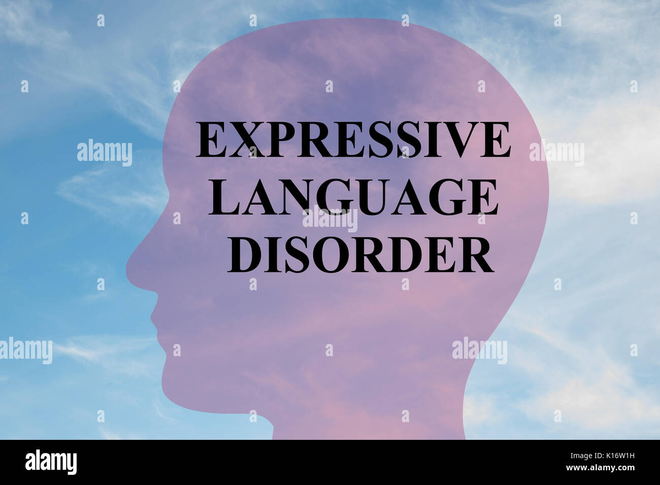 Render illustration of "EXPRESSIVE LANGUAGE DISORDER" title on head ...