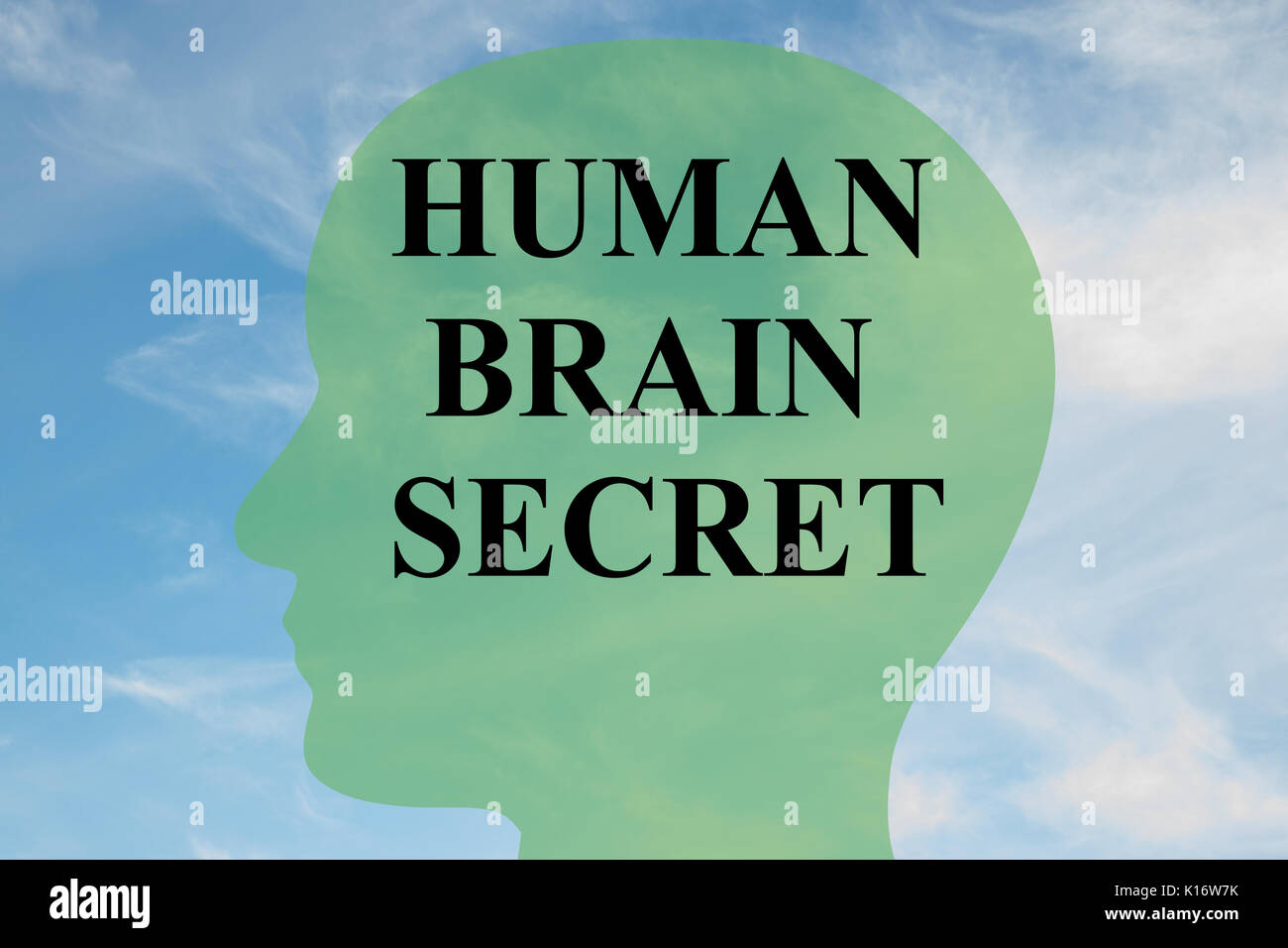 Render illustration of "HUMAN BRAIN SECRET" script on head silhouette ...