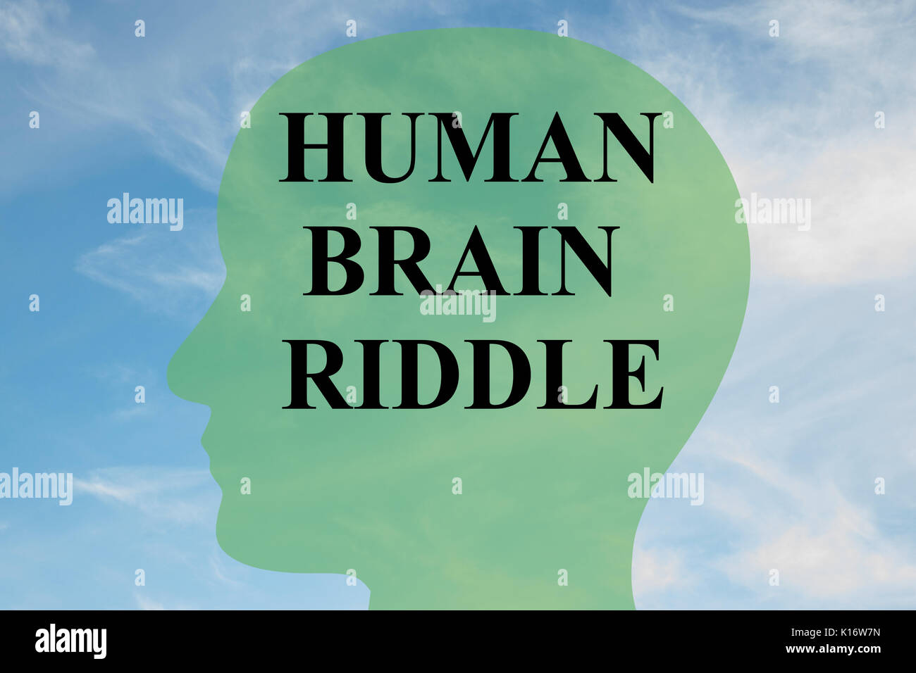 Render illustration of "HUMAN BRAIN RIDDLE" script on head silhouette ...