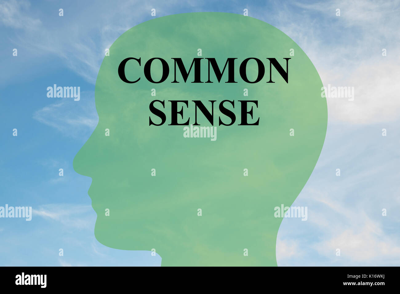 Common Sense High Resolution Stock Photography and Images - Alamy