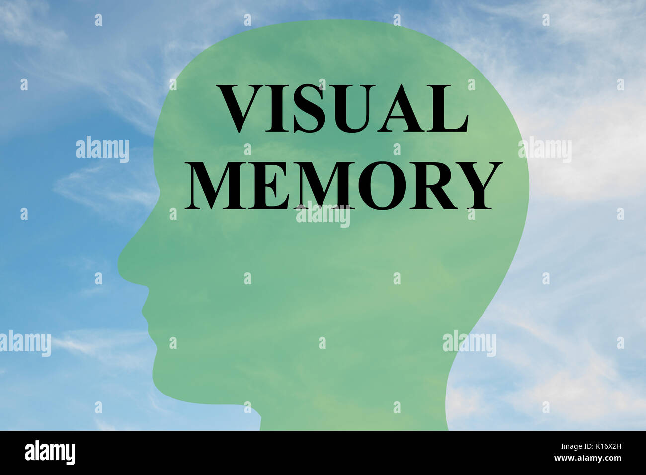 Render illustration of "VISUAL MEMORY" script on head silhouette, with ...