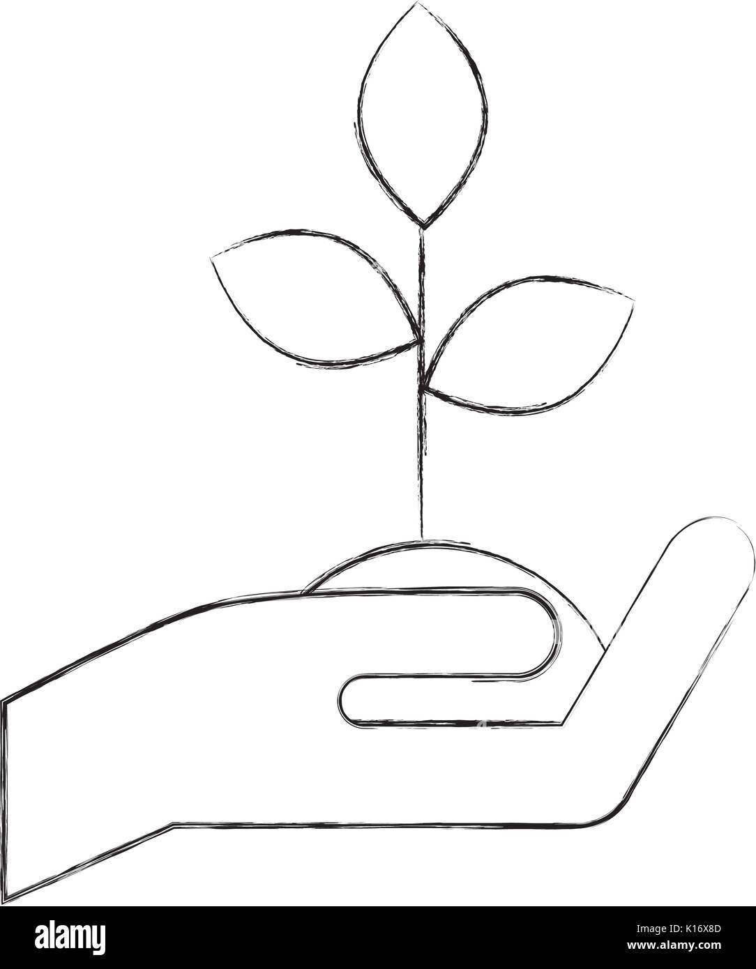 Helpful plant Stock Vector Images - Alamy