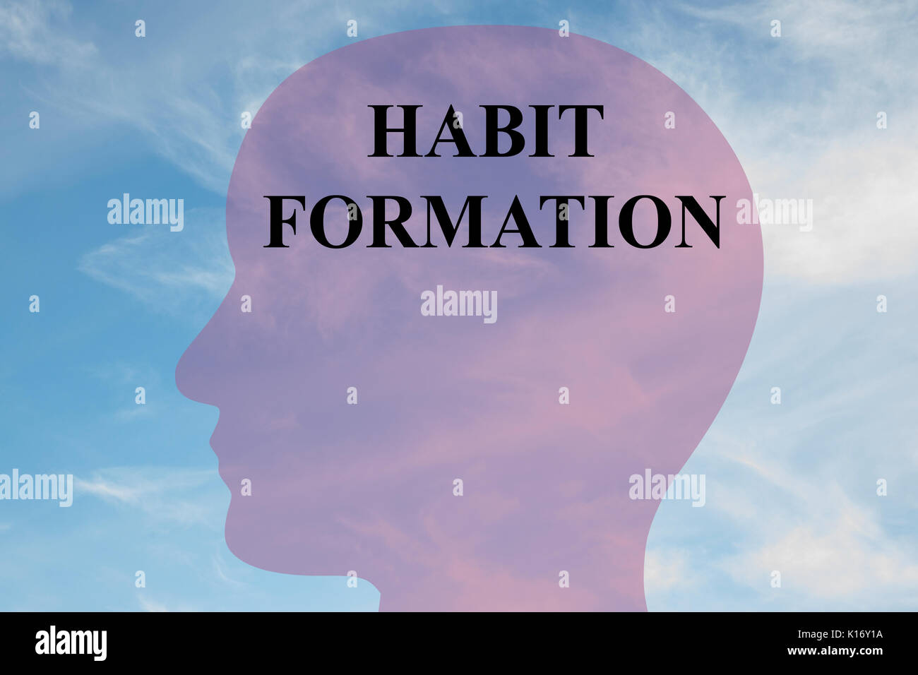 Render illustration of "HABIT FORMATION" title on head silhouette, with ...