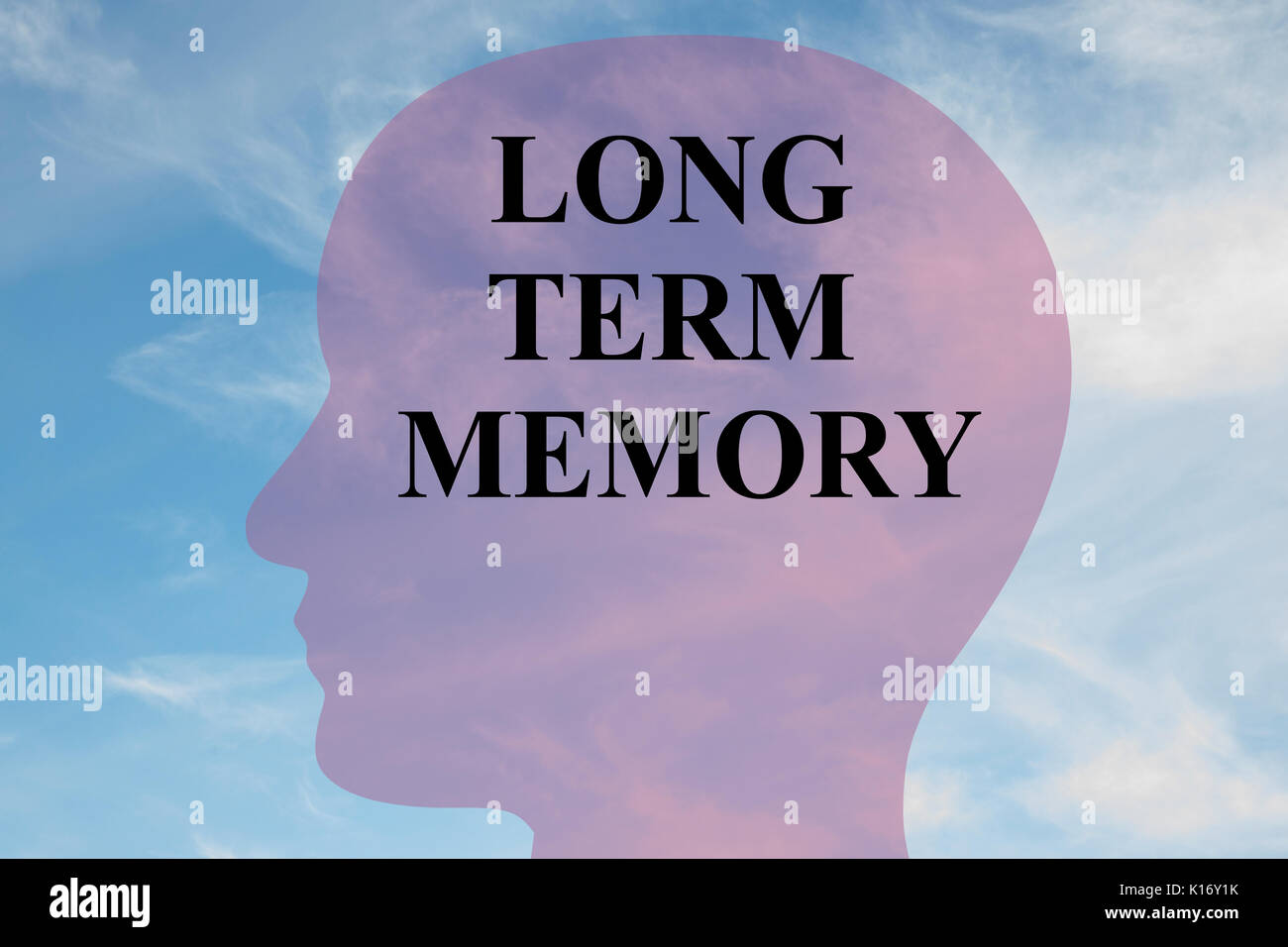 Render illustration of "LONG TERM MEMORY" title on head silhouette ...