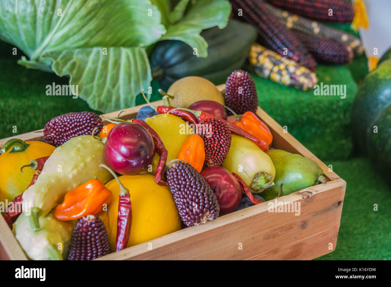 Display of corn hi-res stock photography and images - Alamy