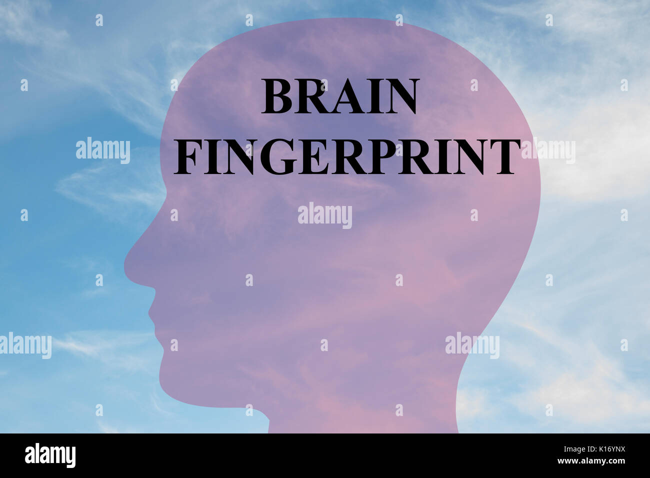 Render illustration of "BRAIN FINGERPRINT" title on head silhouette ...