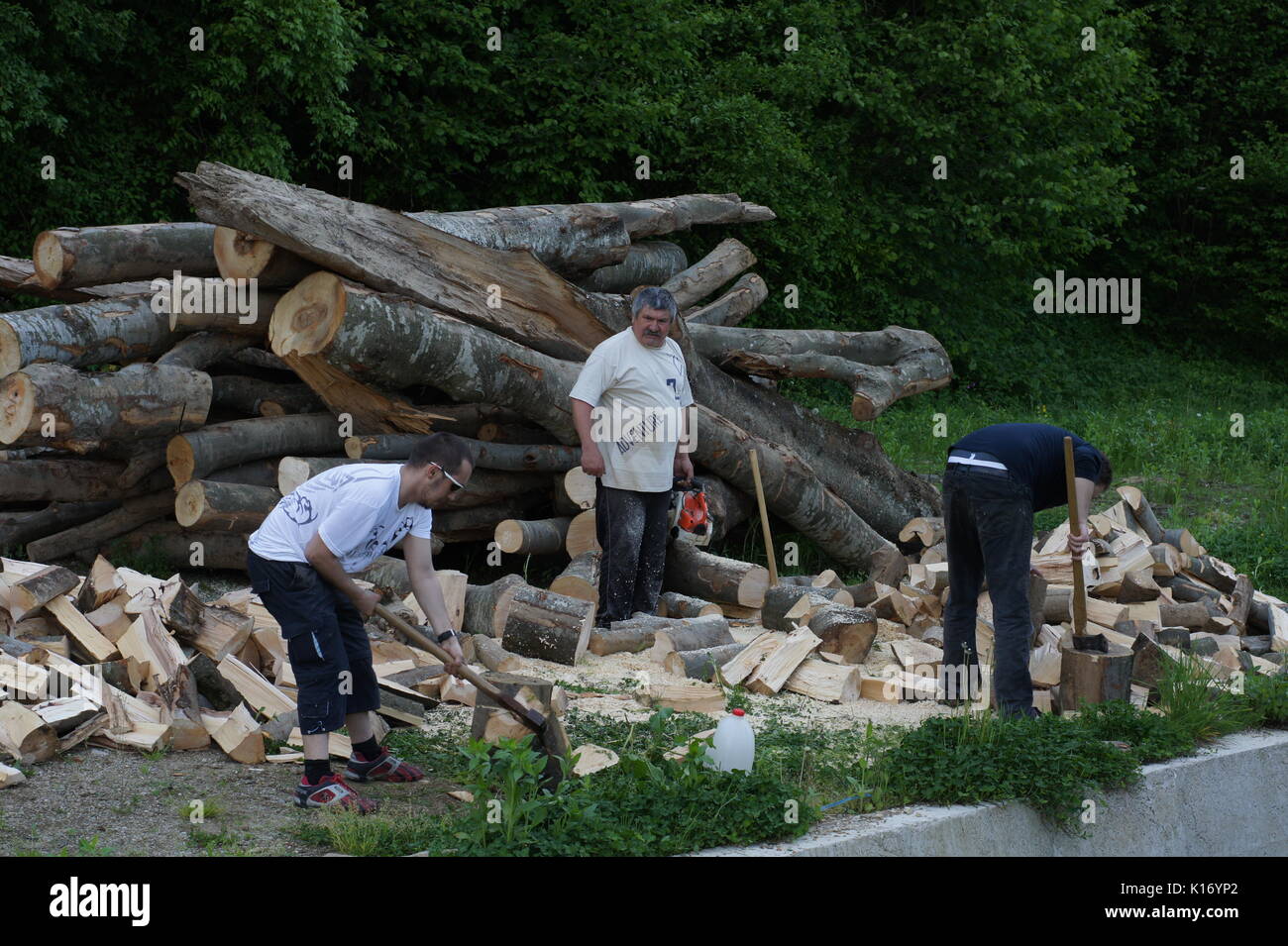 Men cutting logs with axes Stock Photo - Alamy