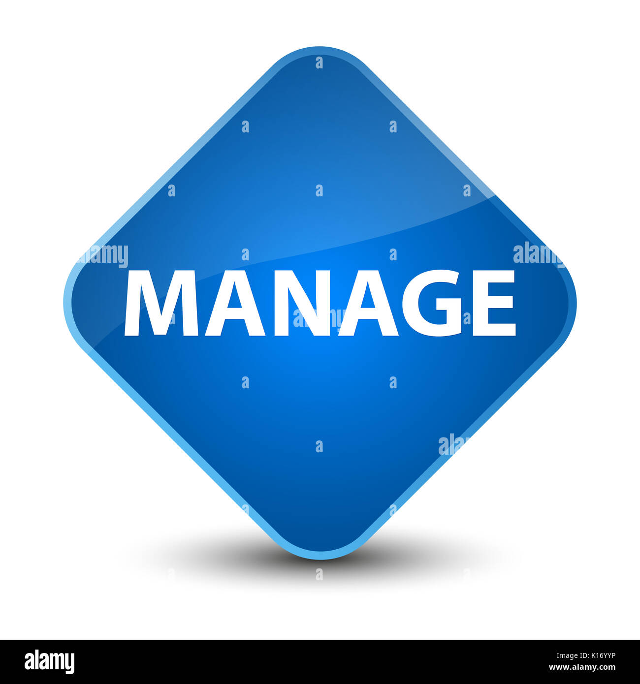 Manage isolated on elegant blue diamond button abstract illustration ...